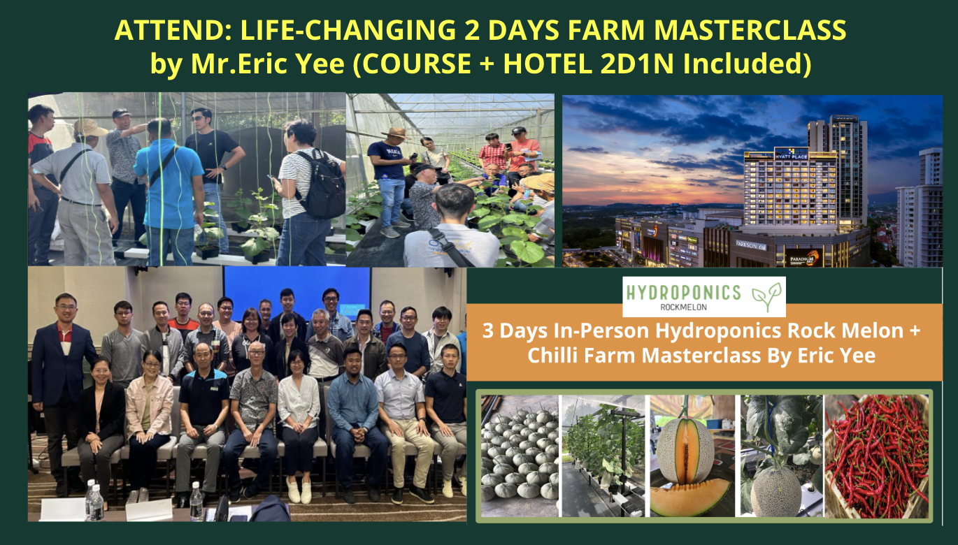 2 Days of Masterclasses on Hydroponics and Chilli Farm With Eric Yee - 2D1N