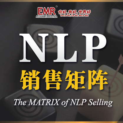 The Matrix of NLP Selling