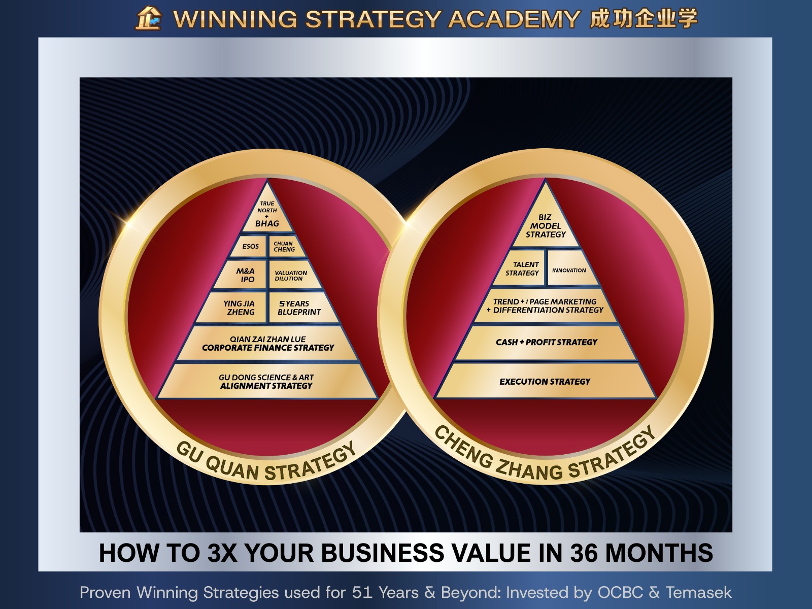 Winning Strategy Academy