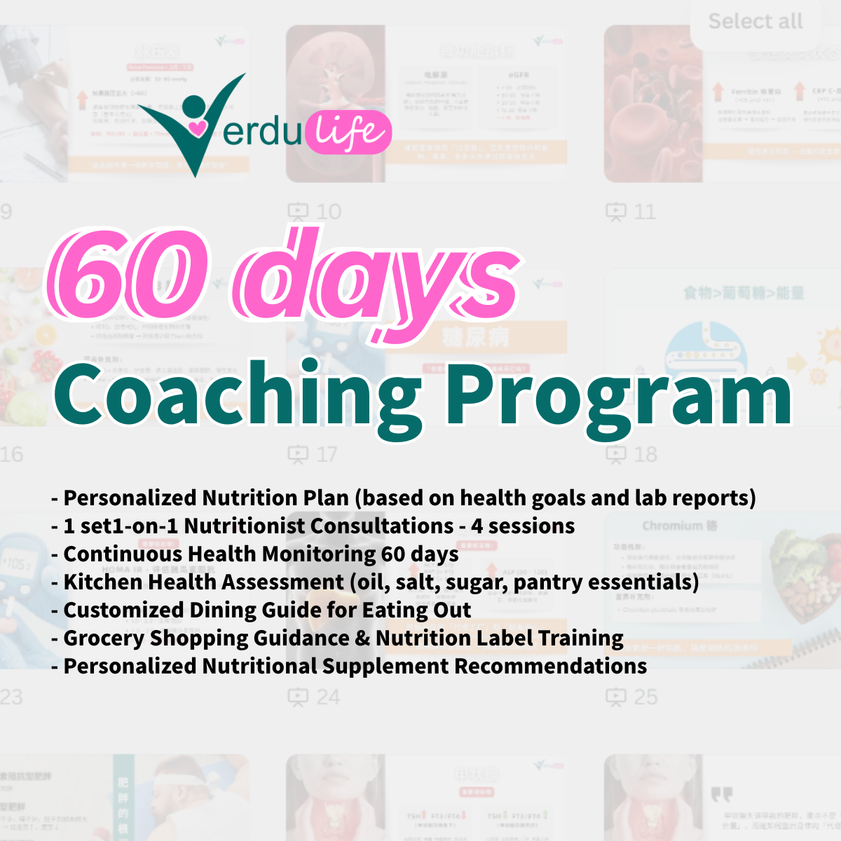 Verdulife 60 days Coaching Program