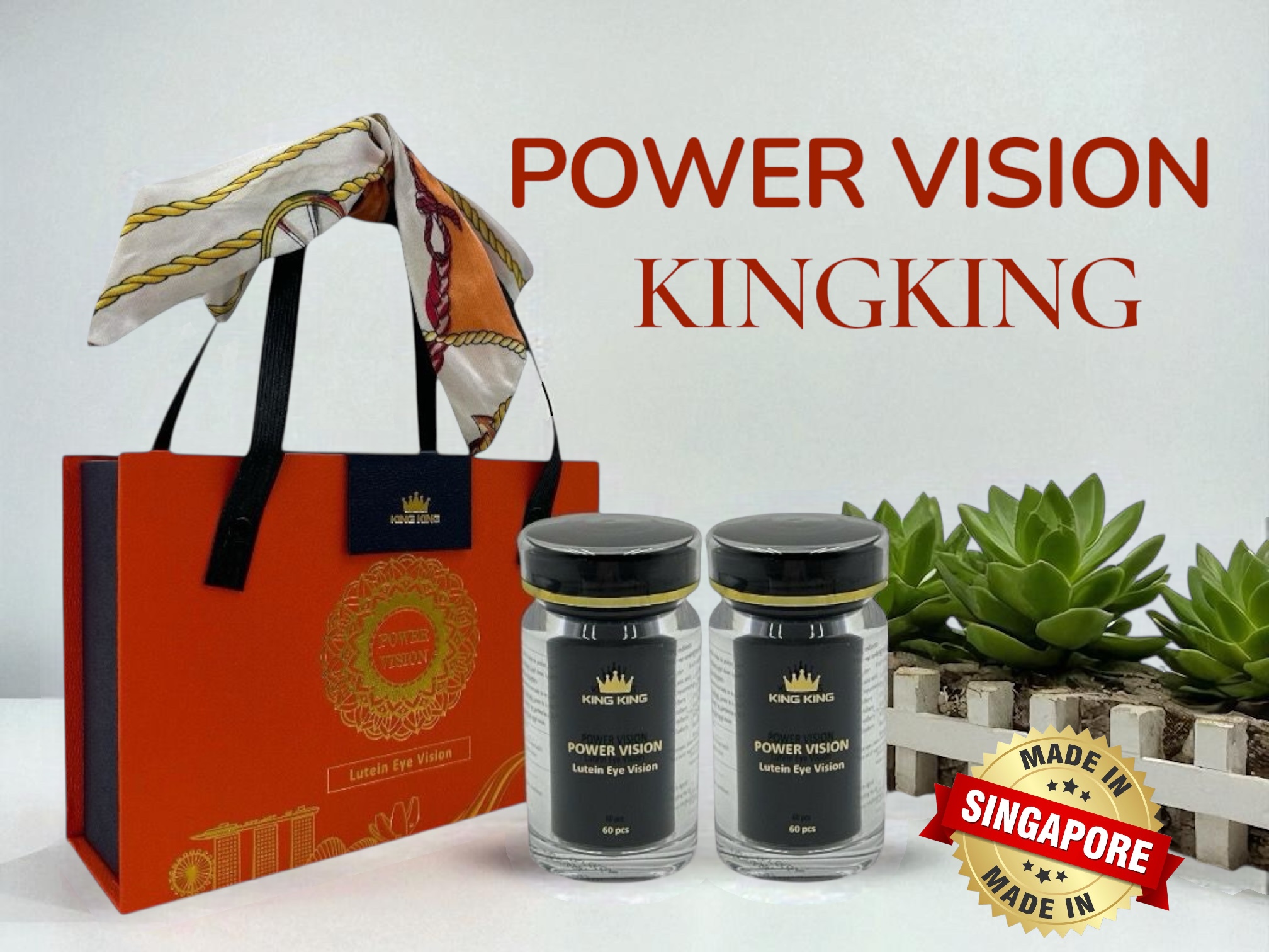 KINGKING Power Vision 699